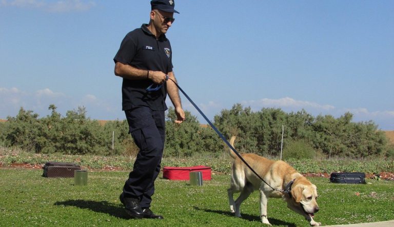 Police K9 Grants - First Responder Grants